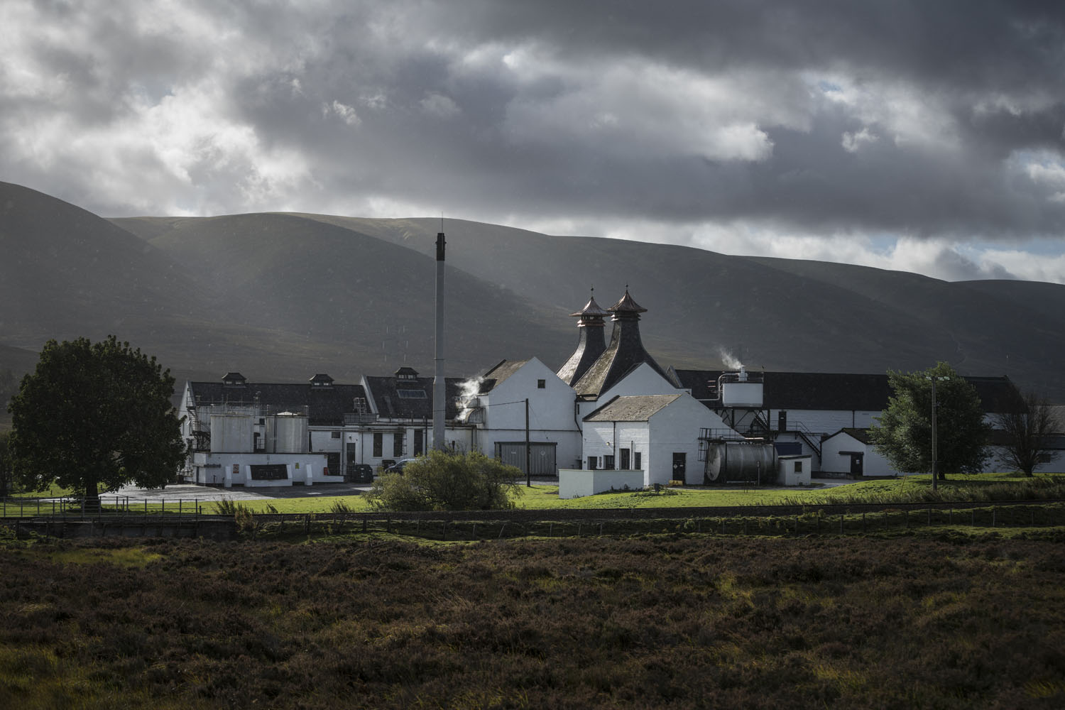 Dalwhinnie Distillery - Distincte