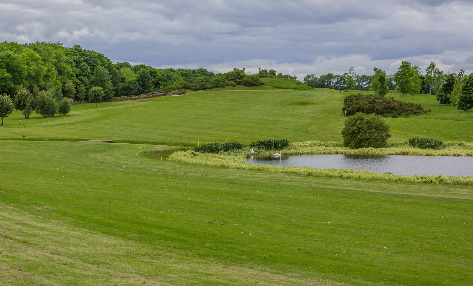 Castle Park Golf Club - Distincte