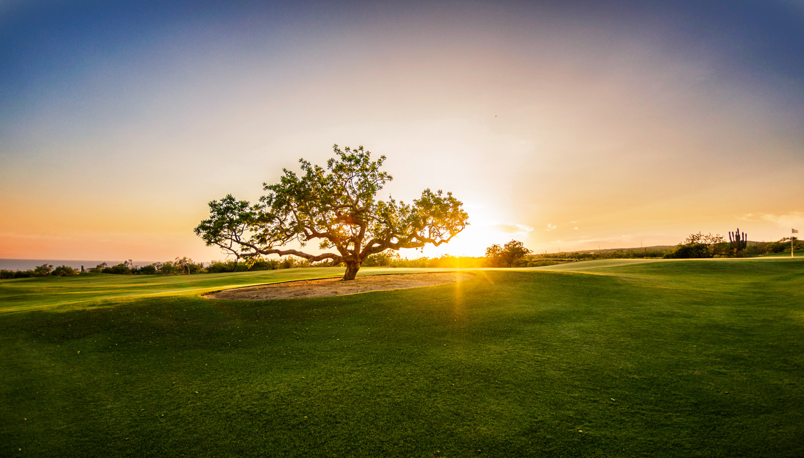 Diamante_El-Cardonal_3 - Distincte