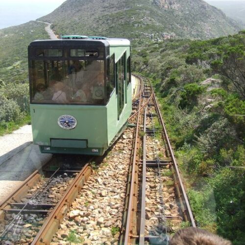 Cape Of Good Hope Nature Reserve - Distincte